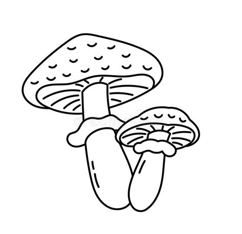 Amanita Death Cap Mushroom Poisoning Vector Line Editable Outline