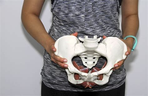 The End To Pelvic Floor Dysfunction Pelvic Floor Dysfunction Pelvic Floor Womens Health Fitness