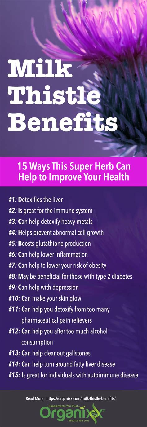 Milk Thistle Benefits 15 Ways This Super Herb Can Improve Your Health