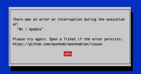 Errors While Running Openhabian Config Issue Openhab
