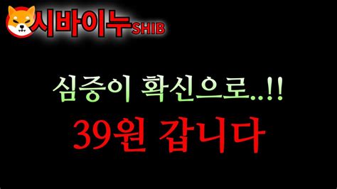시바이누 코인 와 이거 진짜 볼 사람만 보세요 Youtube