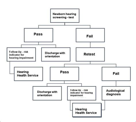 Figure A Flowchart Of The Maternity Newborn Hearing Screening Program