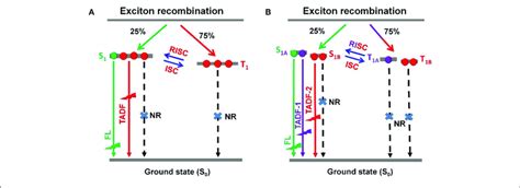 Schematic Representations Of Risc Processes Of Emitters With A