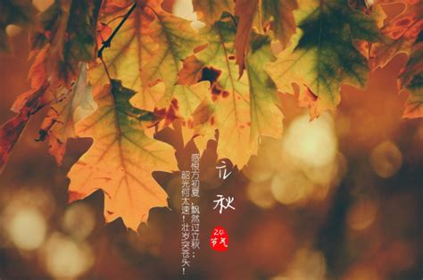 2023立秋是在几伏里面立秋是在哪个伏天2023 生活 天鹮网