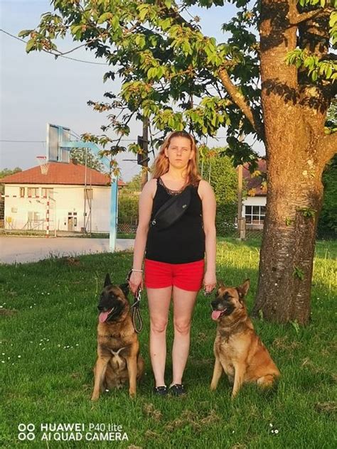 Belgijski Ovčar Malinoa Parenje