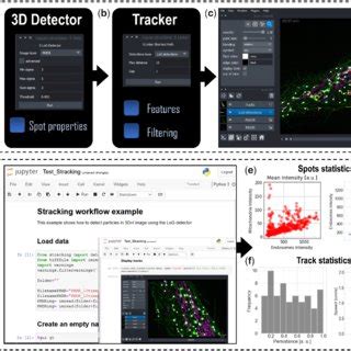 Overview Of STracking Library Implemented In Its Napari Plugin A C