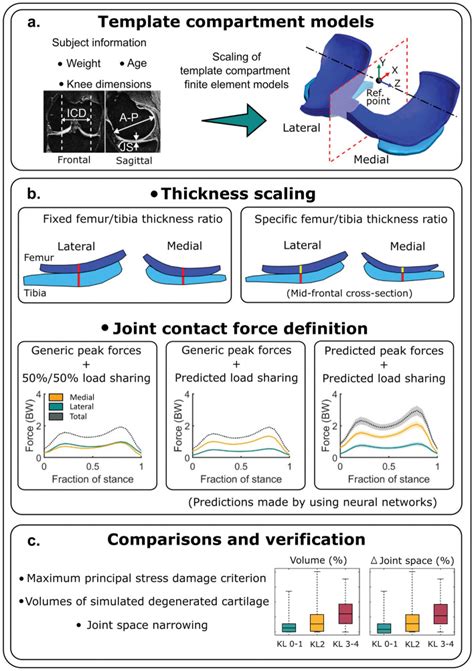 Knee Loading Predictions With Neural Networks Improve Finite Element Modeling Classifications Of