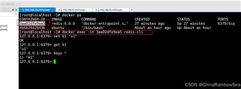 3 Docker 常用命令详细说明附有截图 知乎