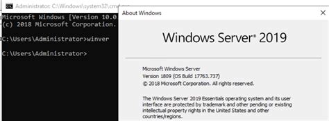 Remote Access Vpn Windows Client Ikev1 Persistent Support