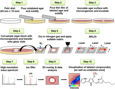Schematic Representation Of Our Methodology That Enables Stable Isotope