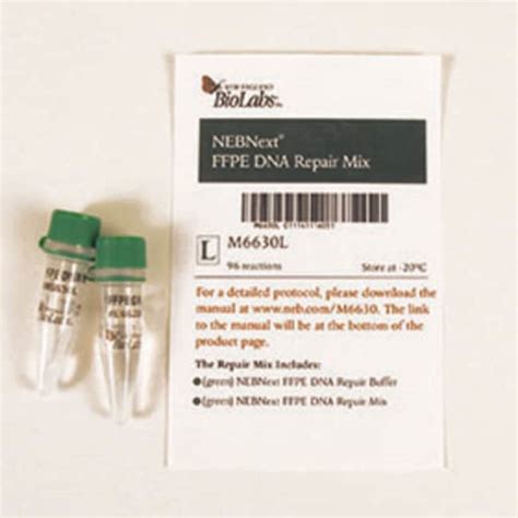 New England Biolabs Inc Nebnext Ffpe Dna Repair Mix 96 Reactions