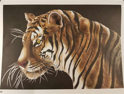 How To Draw A Realistic Tiger Marker Coloured Pencil