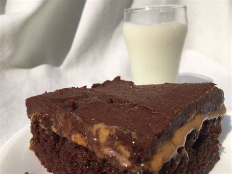 Easy Homemade Chocolate Turtle Cake