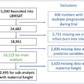 Sample Selection The Flowchart Illustrates Our Sample Selection It Download Scientific