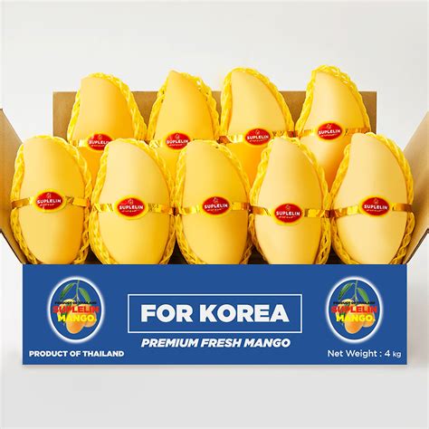 카카오톡 쇼핑하기