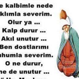 Resimli G Zel S Zler