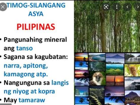 Ano Ba Ang Likas Na Yaman Ng Timog Silangang Asya Lamang Napaka Images And Photos Finder Howtodoes