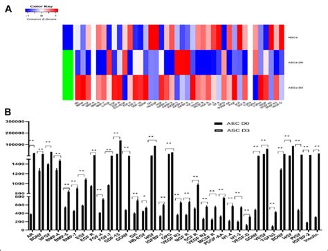 Raybio Human Growth Factor Analysis A Heatmap The Adipose Derived Download Scientific