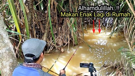 Mancing Ikan Di Saat Musim Hujan Badai Ikan Ikan Nya Pada Kelaparan Youtube