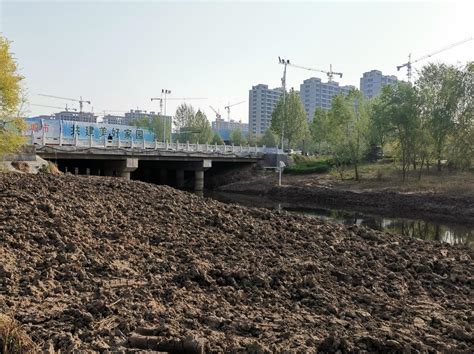 马颊河清淤不该毁了湿地 濮阳市市长万正峰 濮阳市 河南省 领导留言板 人民网