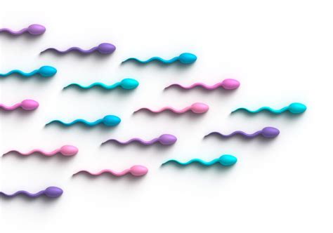 Sperm Preparation Adora Fertility