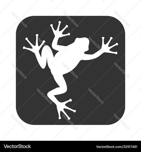 Tree Frog Royalty Free Vector Image VectorStock