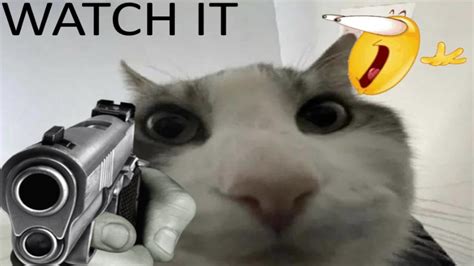 Lagtrain CSGO Cat Edit YouTube