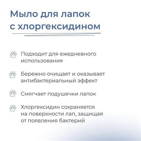 Купить мыло для лап с хлоргексидином, 444 мл в Спб: заказать по цене ...