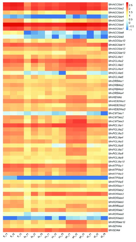 Expression Of Genes Involved In Srna Biogenesis And Regulatory Pathways