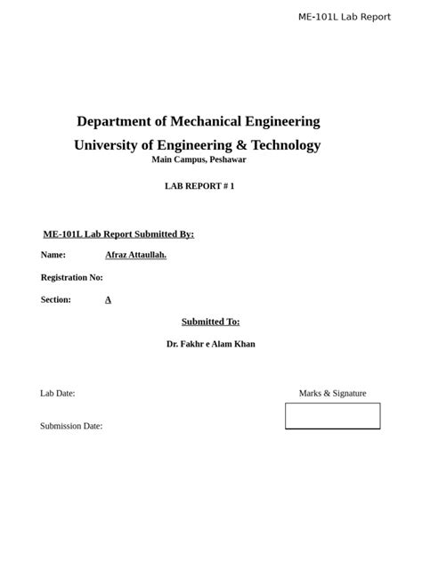 Sample Programming Lab Report Pdf