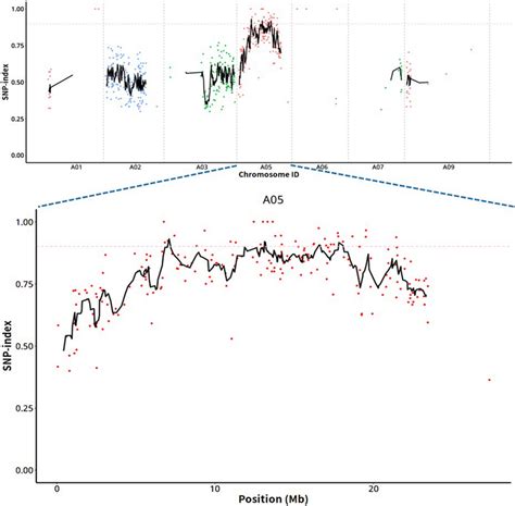 Snp Index Plot Of Chinese Cabbage Chromosomes Download Scientific Diagram
