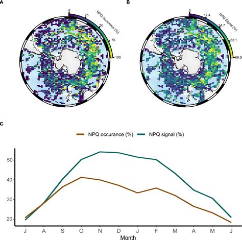 Frontiers Subsurface Chlorophyll Maxima Reduce The Performance Of Non Photochemical Quenching