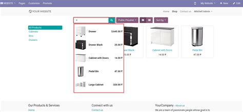 Importance Of Odoo Website Product Visibility For Business