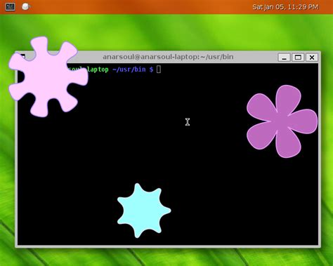 Wayland And Software Rendering