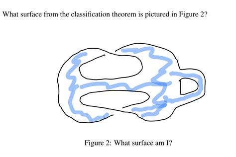 Solved What Surface From The Classification Theorem Is