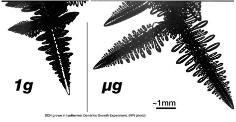 Isothermal Dendritic Growth Experiment Idge