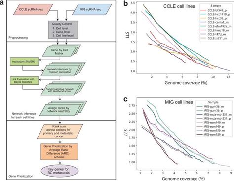 Imputation Of Single Cell Transcriptome Data Enables The Reconstruction Of Networks Predictive