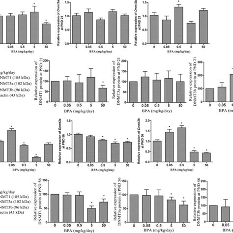 Effects Of Prenatal Bpa Exposure On Gdnf Expression And Its Promotor