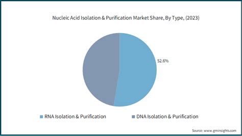 Nucleic Acid Isolation And Purification Market Size Report 2032