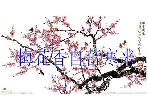 梅花香自苦寒来 20230206ppt 人人文库