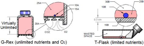 G Rex Technology