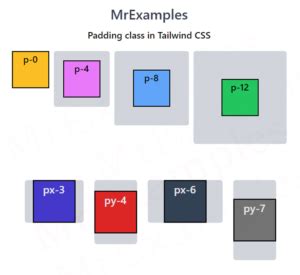 Tailwind Padding MrExamples