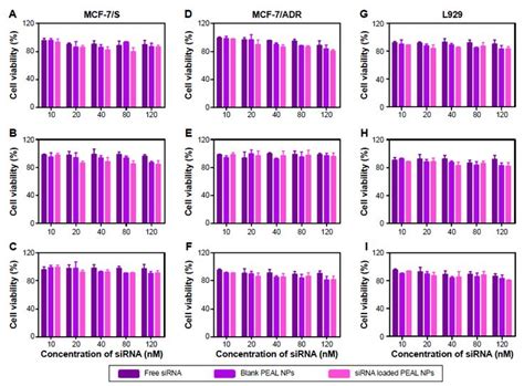 In Vitro Cytotoxicity Of Sirna And Peal In Mcf 7s Mcf 7adr And L929