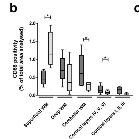 Analysis Of Microglial Phenotypes In Different Cortical Layers Graph