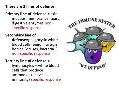 The Immune System And Viral Specificity