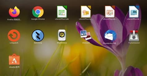 Ubuntu 18044系统下安装谷歌chrome浏览器 Bd6mms Blog