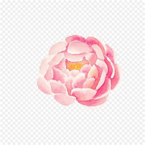 唯美花朵装饰PNG图片素材下载 图片编号yglzebvm 免抠素材网