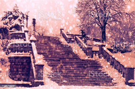겨울 날에 도시 공원에서 베오그라드 세르비아 요새 계단 눈 블리자드 Kalemegdan Belgradevintage 톤 포스트