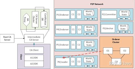 【fabric 区块链 Part 3】hyperledger Fabric 运行时架构 知乎