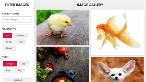 Advance Filterable Responsive Image Gallery Using Html Css And Vanilla